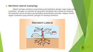 Penjelasan tentang Definisi Jaringan, macam, bentuk dan fungsi jaringan ...