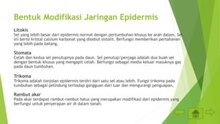 Penjelasan tentang Definisi Jaringan, macam, bentuk dan fungsi jaringan ...