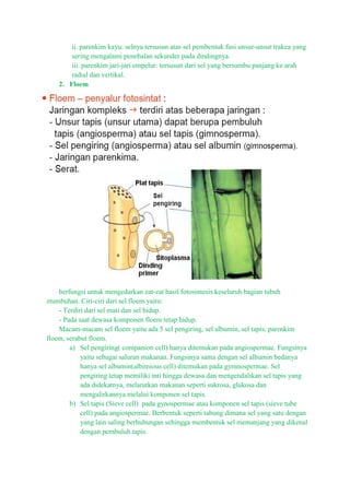 MATERI JARINGAN TUMBUHAN KELAS XI SMA | DOCX