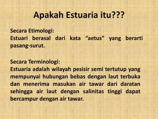 Jaring dan piramida makanan di daerah Estuaria | PPTX