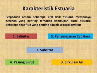 Jaring dan piramida makanan di daerah Estuaria | PPTX