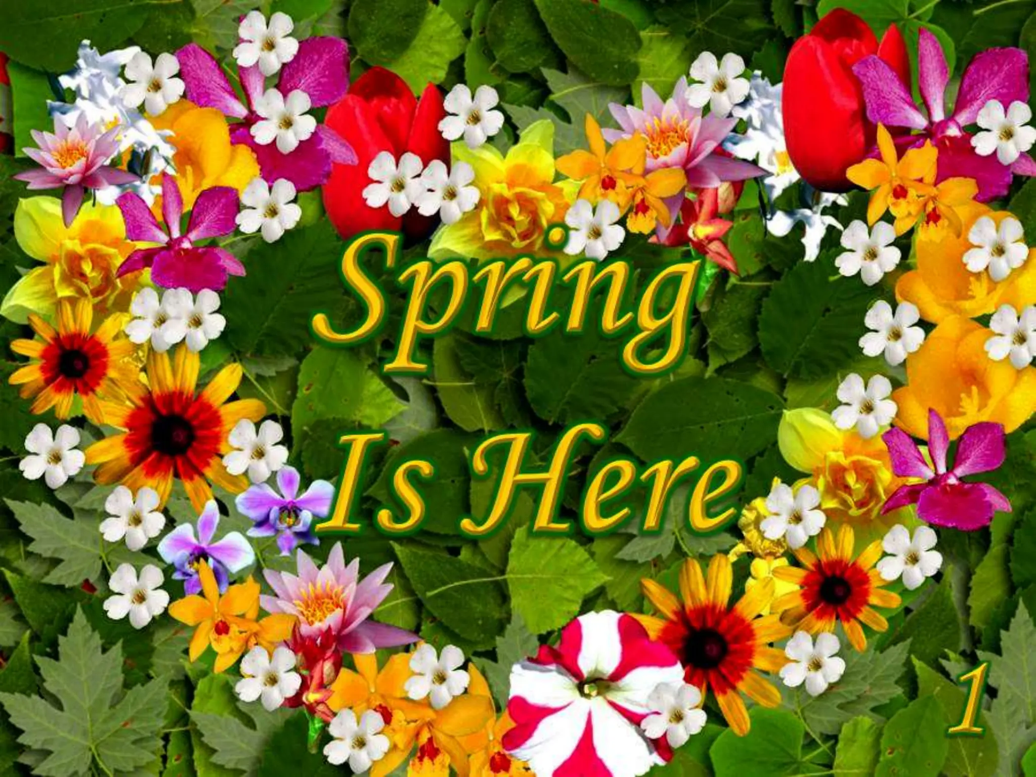 Jaro je tady - Spring is here (Judith) 1 | PPT