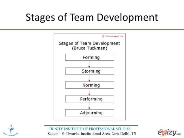 ORGANIZATIONAL BEHAVIOR - Team building and Effectiveness | PPTX