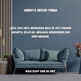 Jasa Cuci Sofa Berbahan Bulu di daerah Jati Padang Jakarta Selatan | PDF