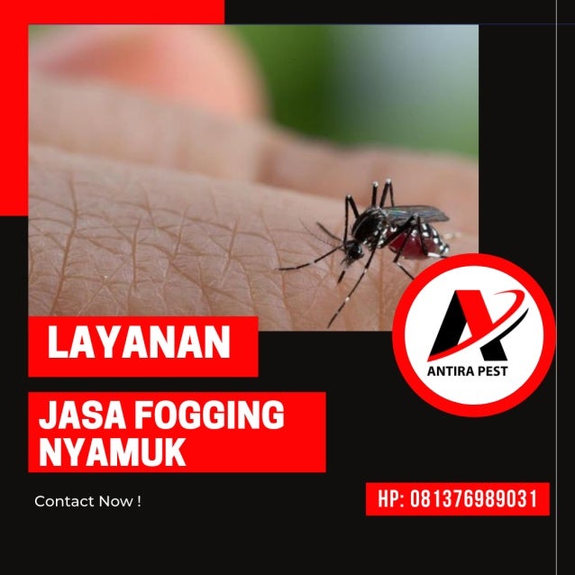 Jasa Fogging Murah 1 RT Medan | 081376989031 | Antira Pest | PDF