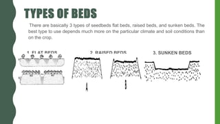 commercial horticulture | PPTX