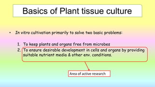 Introduction to: Plant Tissue Culture | PPTX
