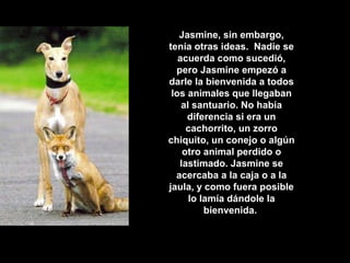 Jasmine perra madre | PPS