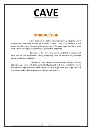 Jasmin j cave assignment | PDF