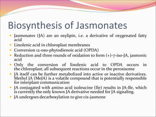 Jasmonic_Acid an overview on its role and application | PPT