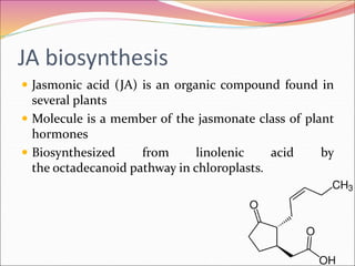 Jasmonic_Acid an overview on its role and application | PPT