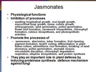 Jasmonic_Acid an overview on its role and application | PPT
