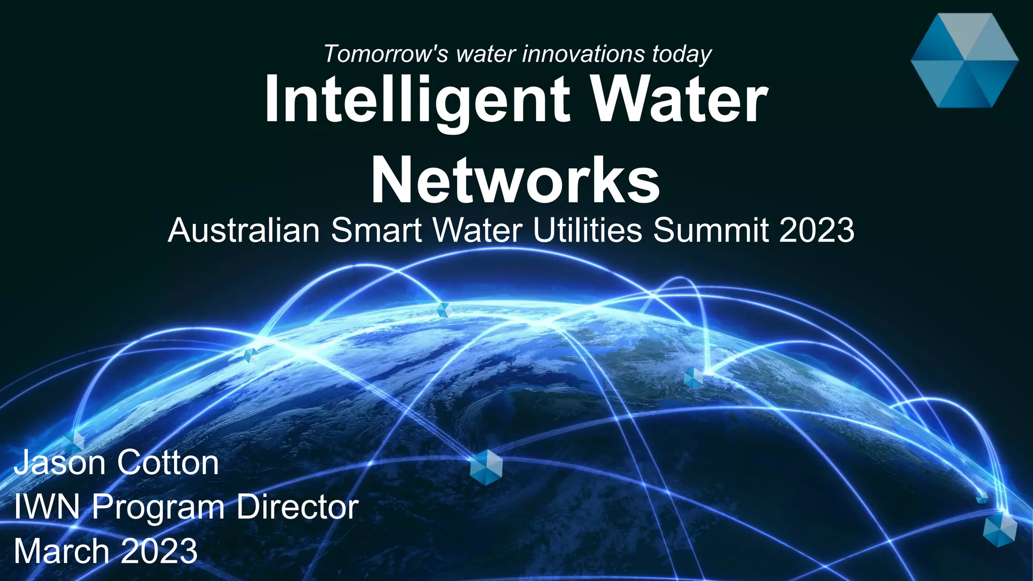 DISCUSSION ON THE DEVELOPMENT OF THE INTELLIGENT WATER NETWORKS PROGRAM ...
