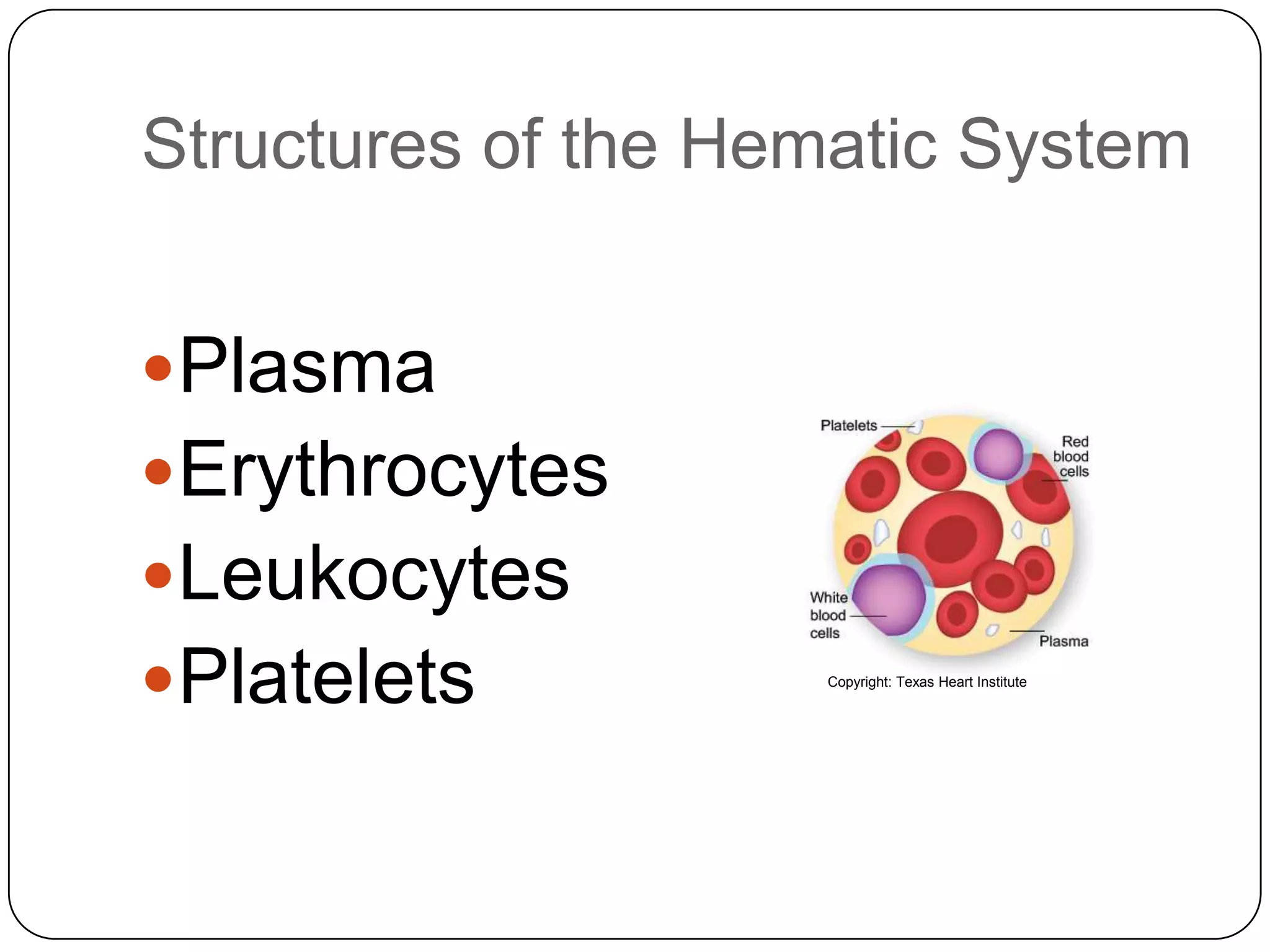 Jason Godo biology 120 chapter 2 presentation hematic system | PPTX
