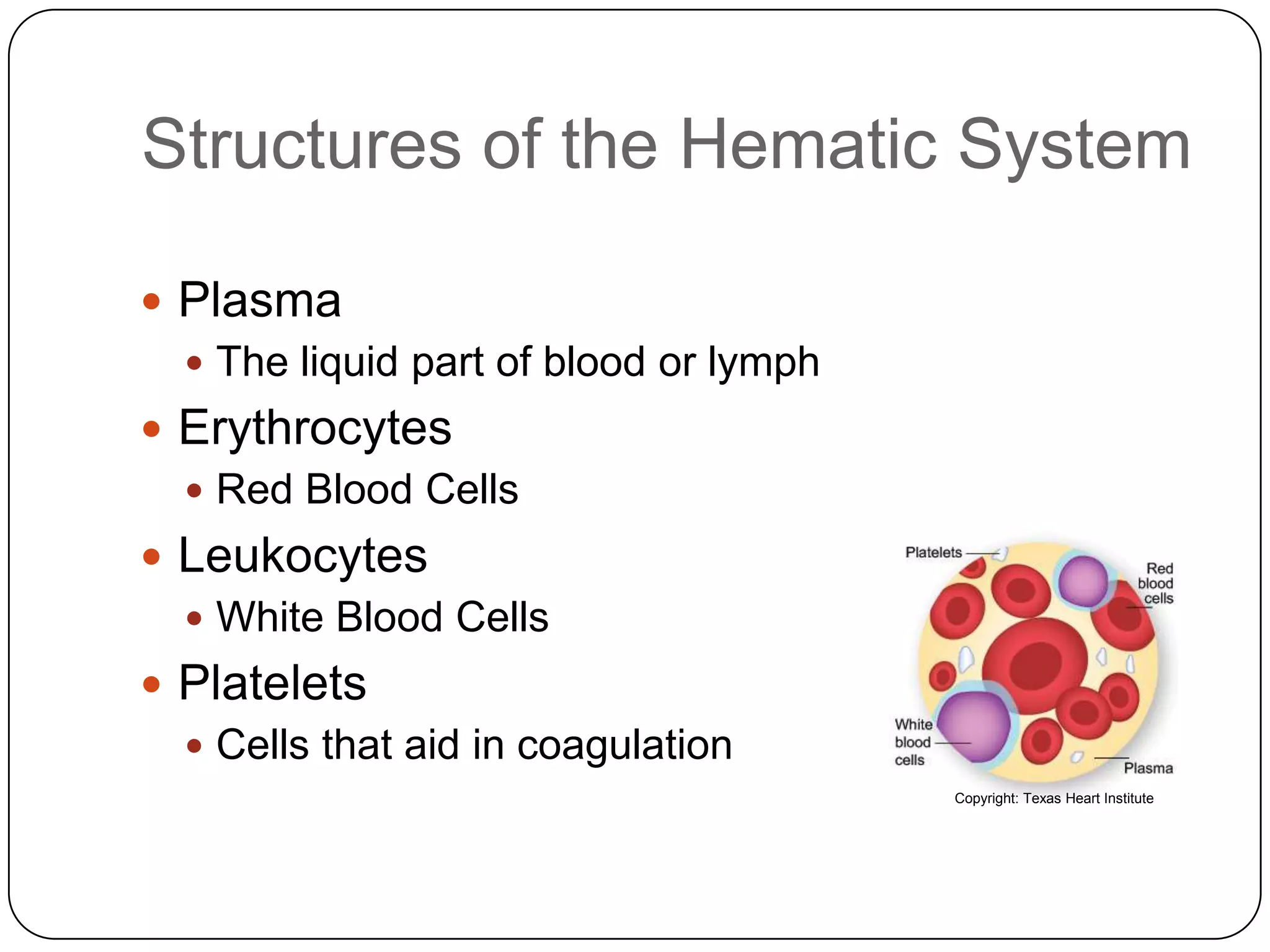 Jason Godo biology 120 chapter 2 presentation hematic system | PPTX