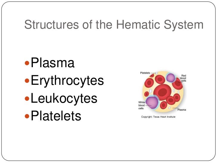 Jason Godo biology 120 chapter 2 presentation hematic system