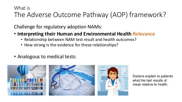 Adverse outcome pathway framework in knowledge management and trust ...