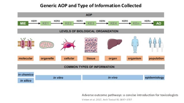Adverse outcome pathway framework in knowledge management and trust ...