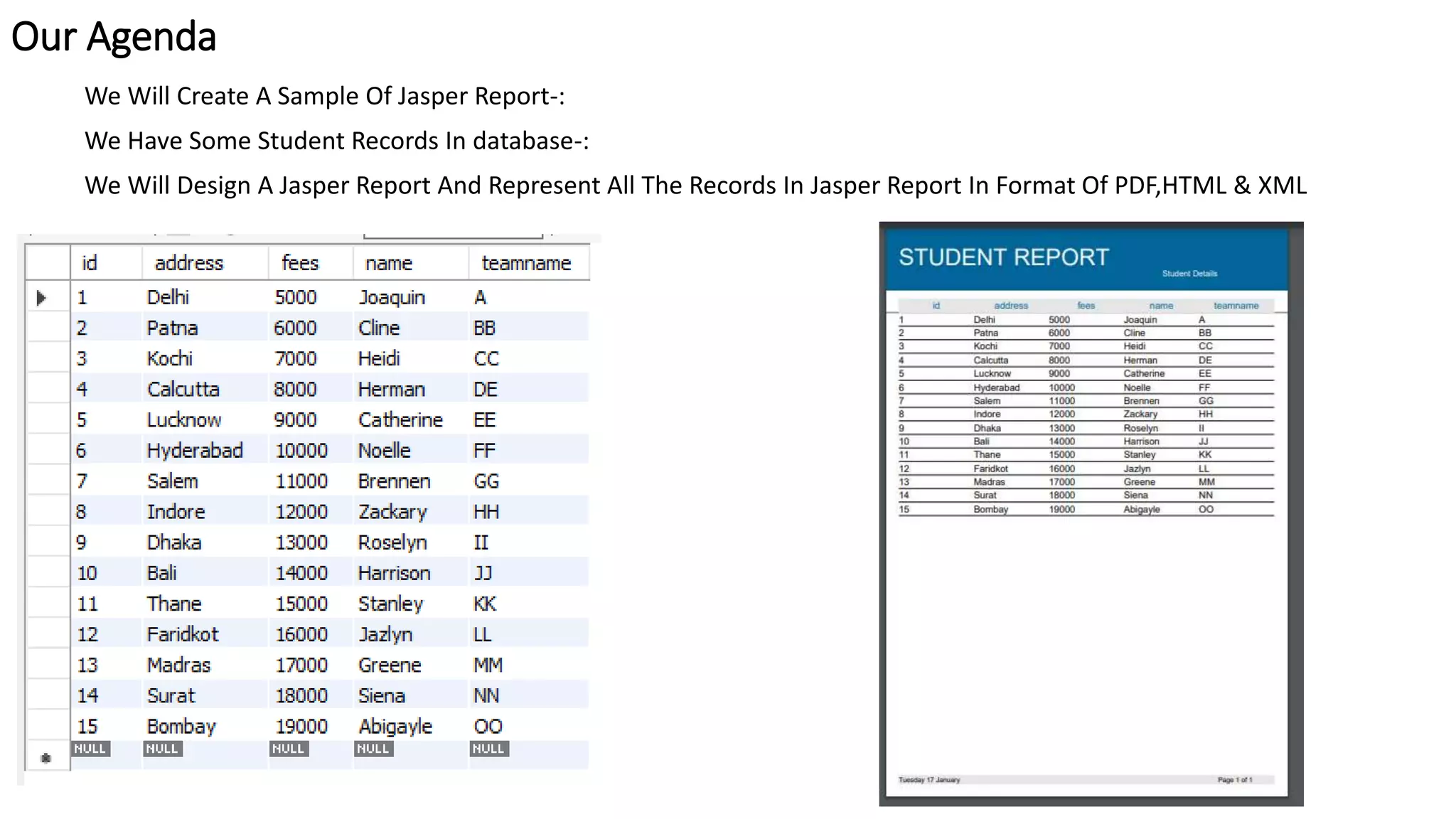 Jasper Reports.pptx