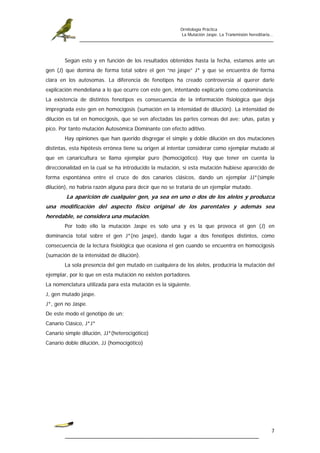 Jaspe transmission espanol | PDF