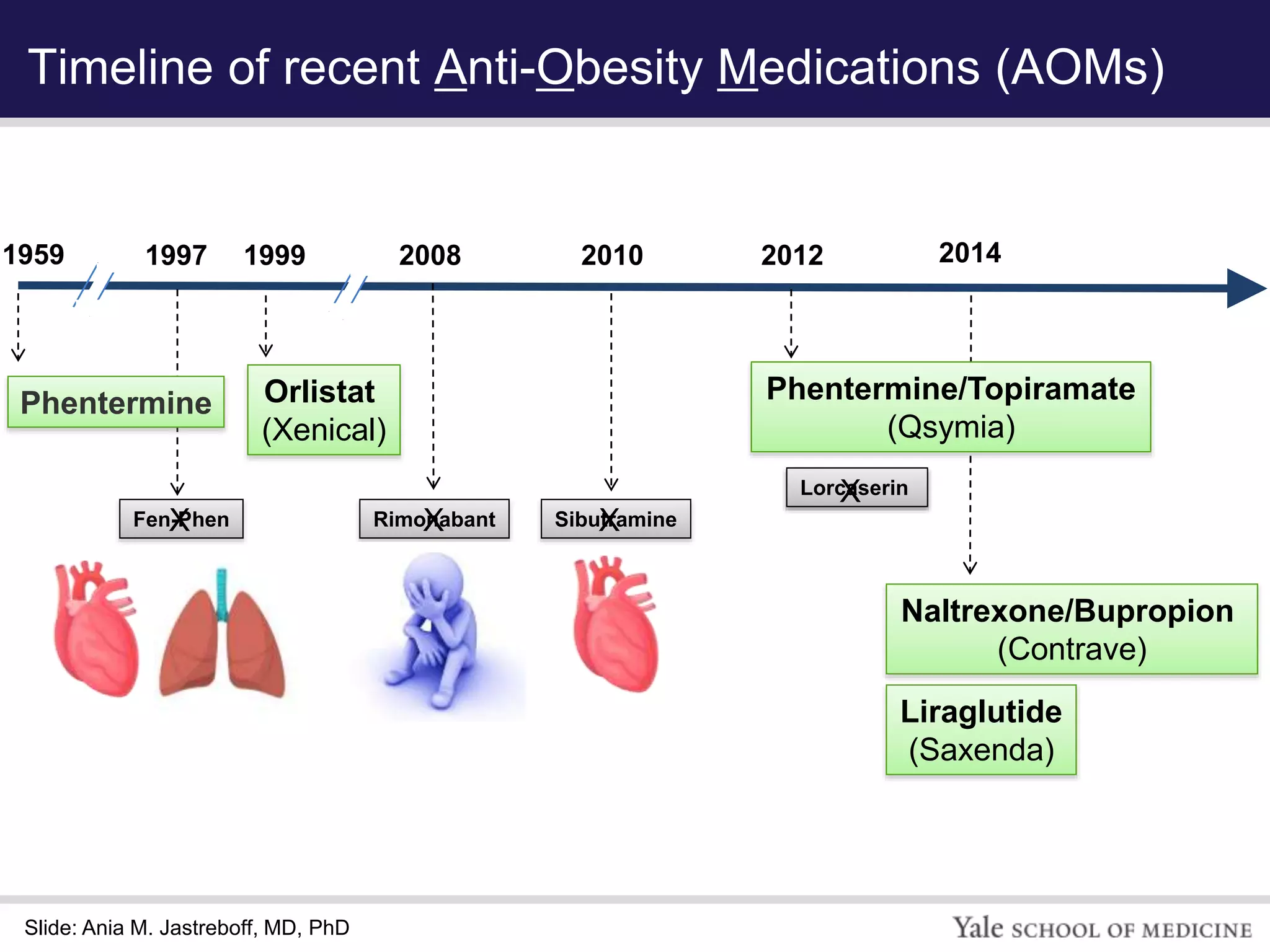Anti-Obesity Pharmacotherapy: Where are we now? Where are we going? | PPTX