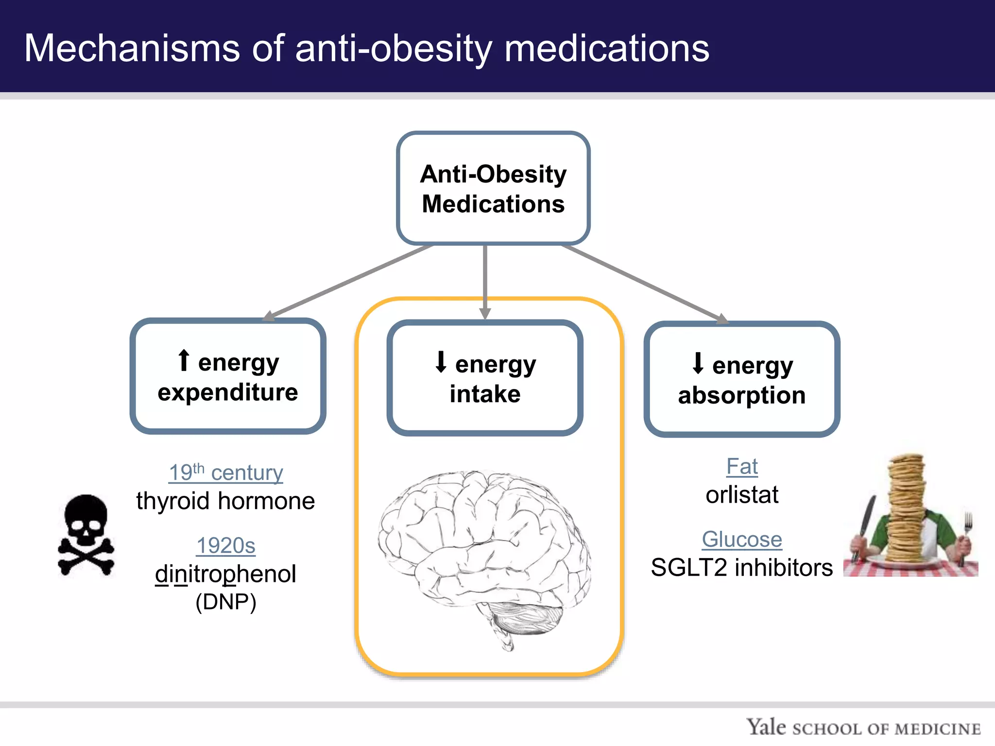Anti-Obesity Pharmacotherapy: Where are we now? Where are we going? | PPTX