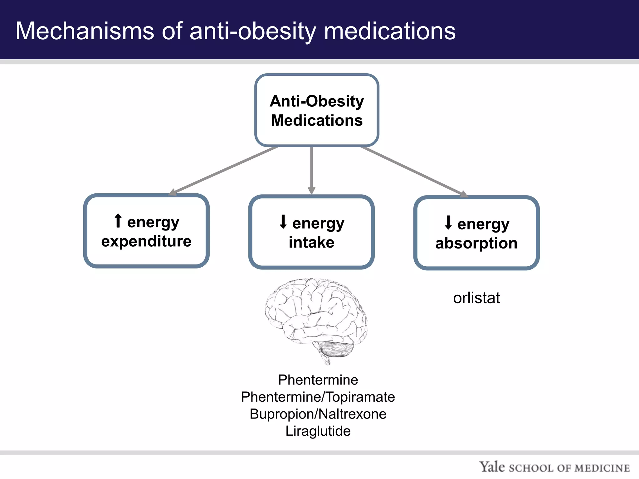 Anti-Obesity Pharmacotherapy: Where are we now? Where are we going? | PPTX