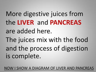 Digestion EVS presentation | PPTX