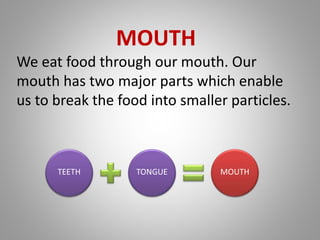Digestion EVS presentation | PPT