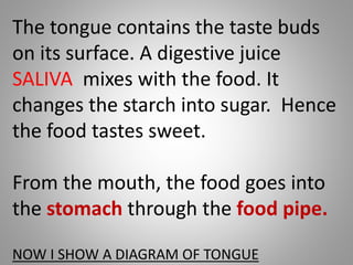Digestion EVS presentation | PPTX