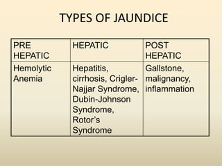 All about Jaundice | PPTX