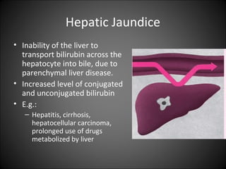 Jaundice | PPT