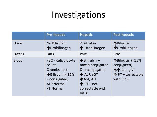 Jaundice BY Dr KARAN KUMAR