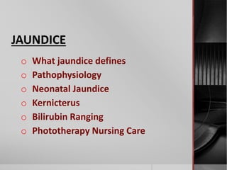 Jaundice | PPTX