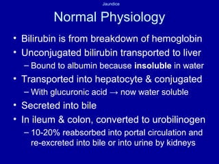 Jaundice | PPT
