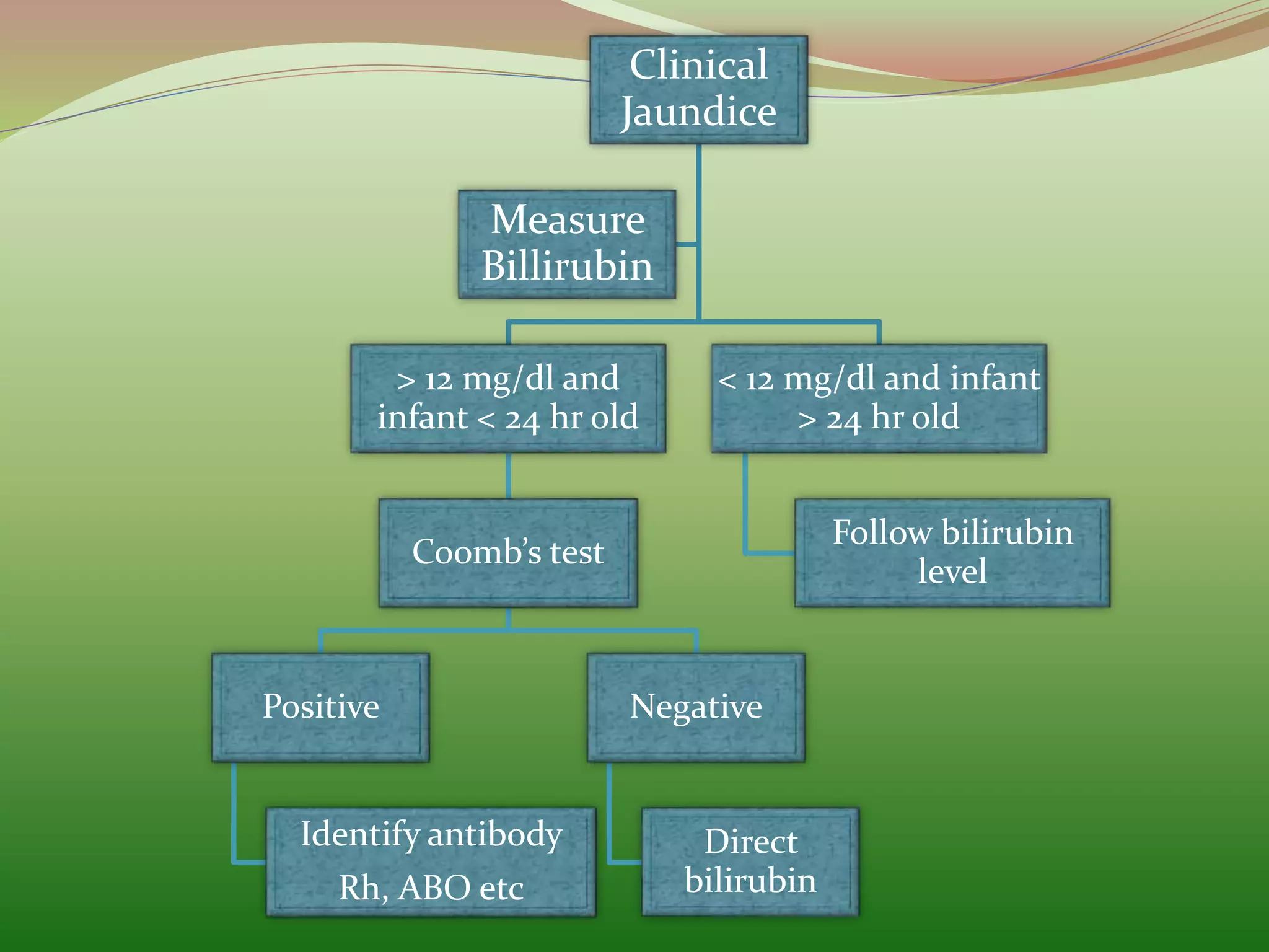 neonatal Jaundice | PPTX