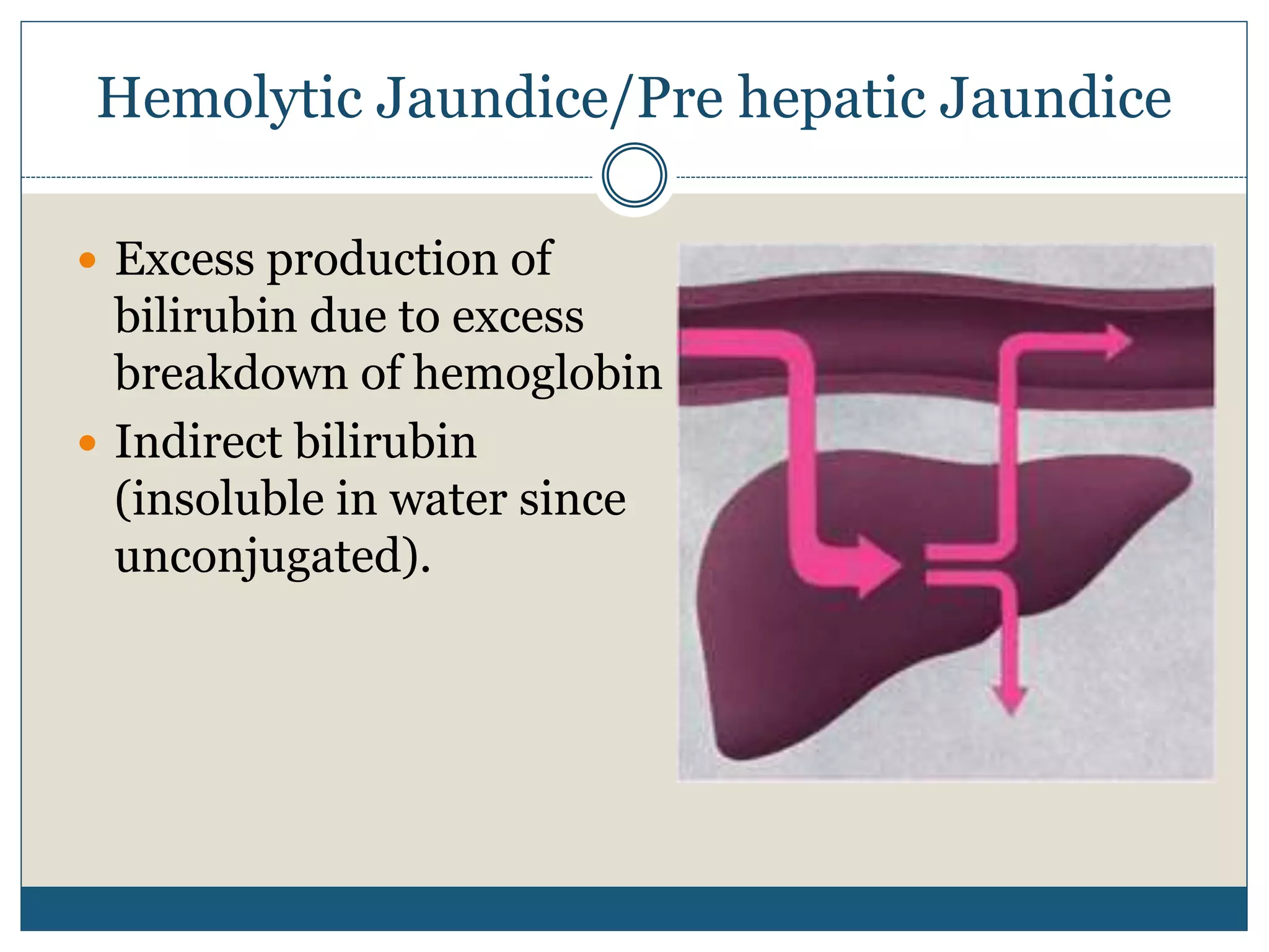 Jaundice | PPTX