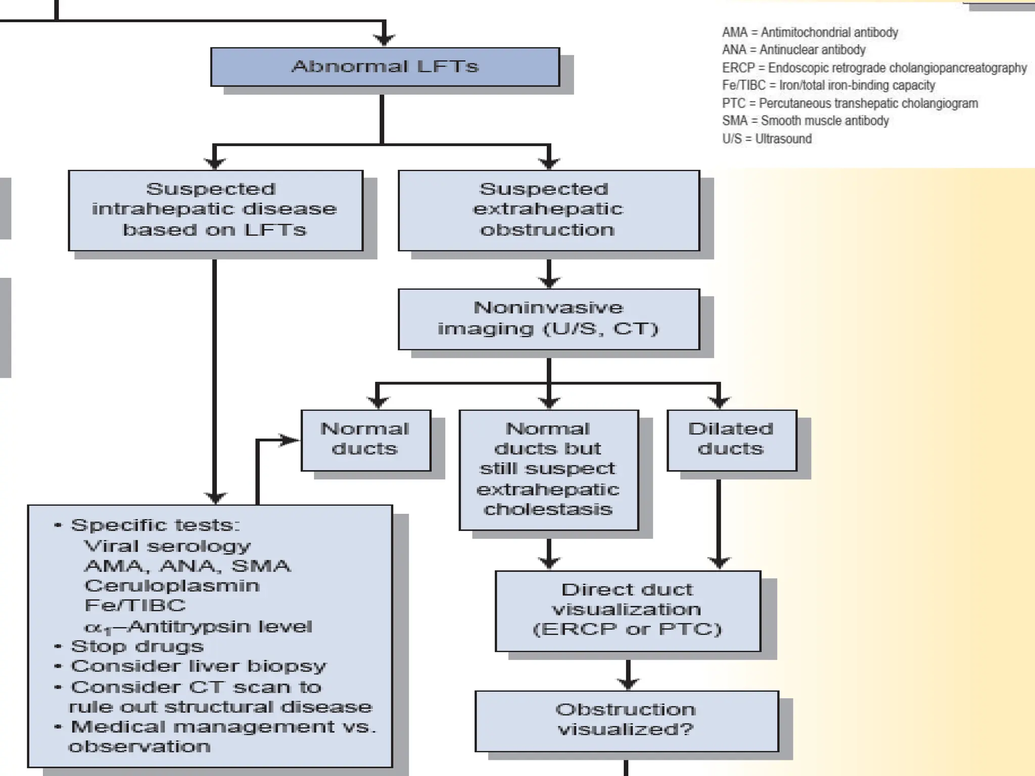 jaundice-(three types)- pre hepatic, hepatic , post hepatic | PDF