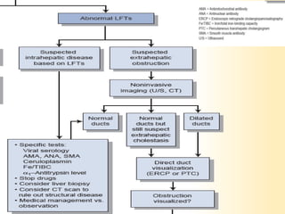 jaundice-(three types)- pre hepatic, hepatic , post hepatic | PDF