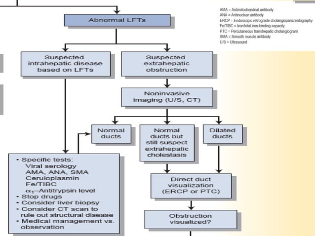 jaundice-(three types)- pre hepatic, hepatic , post hepatic | PDF ...