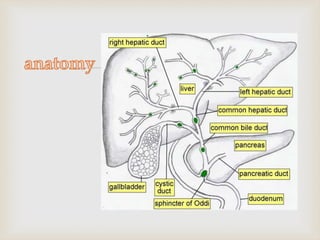 jaundice-(three types)- pre hepatic, hepatic , post hepatic | PDF