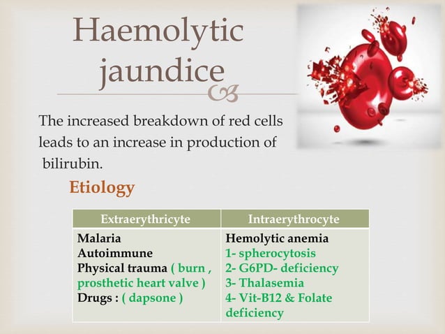 jaundice-(three types)- pre hepatic, hepatic , post hepatic | PDF | Blood Disorders | Diseases ...