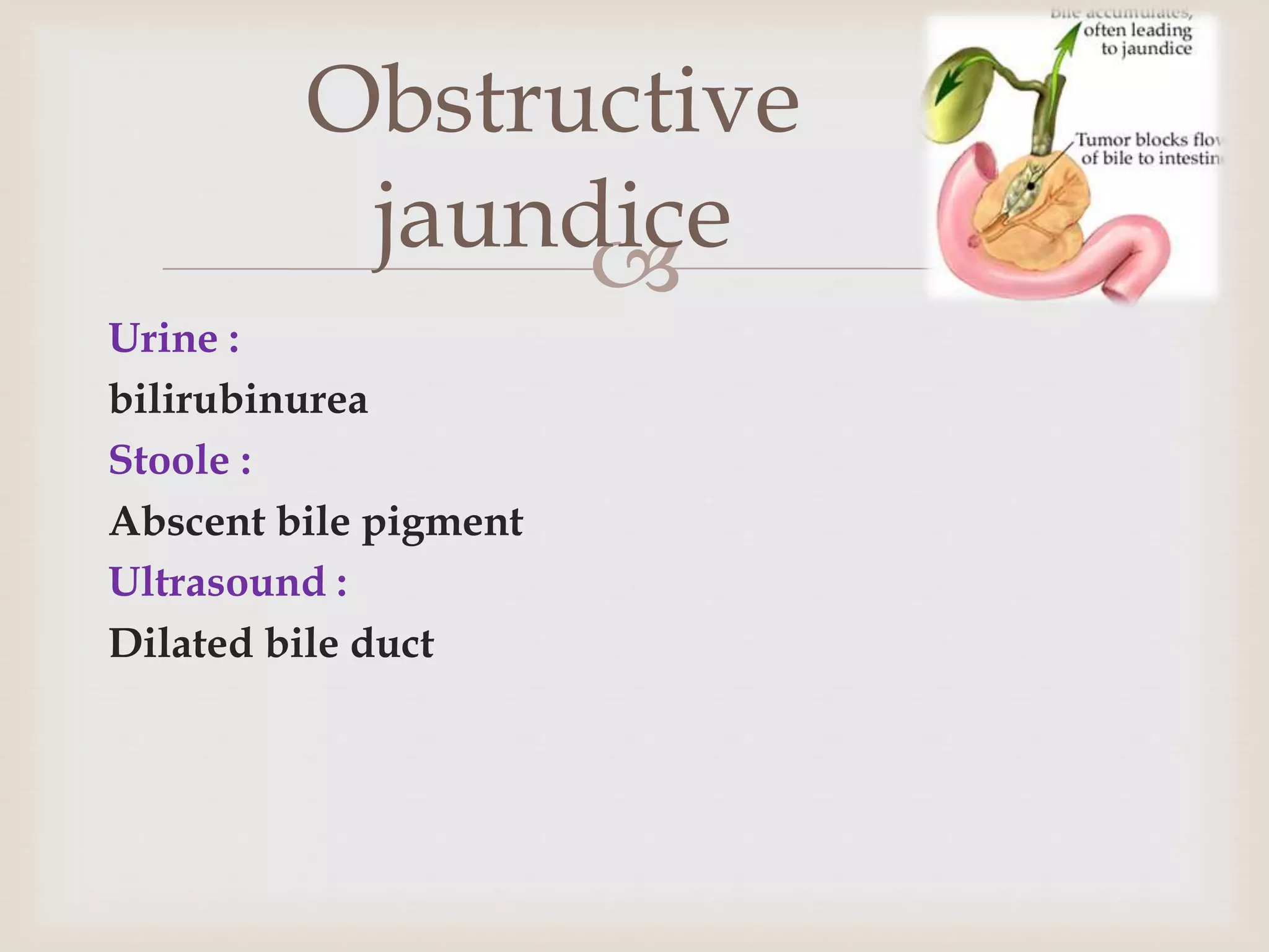 Jaundice | PPTX