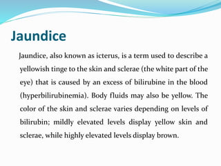 Jaundice | PPTX