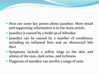 Jaundice | PPTX