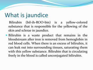 Jaundice | PPTX