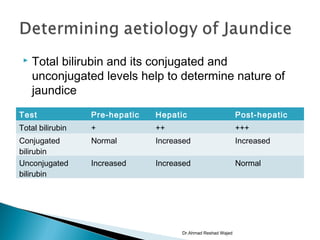 Jaundice | PPT