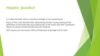 Jaundice | PPTX | Digestive Disorders | Diseases and Conditions