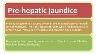Jaundice | PPT