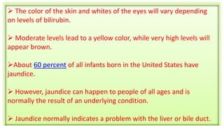 Jaundice | PPTX
